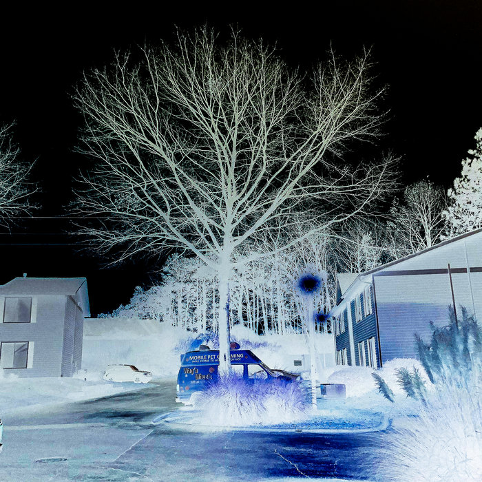 January | Daniel Tanghal