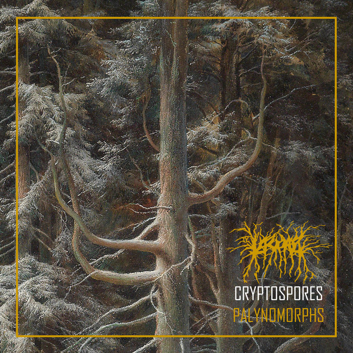 Cryptospores & Palynomorphs | Lascar | Tragedy Productions
