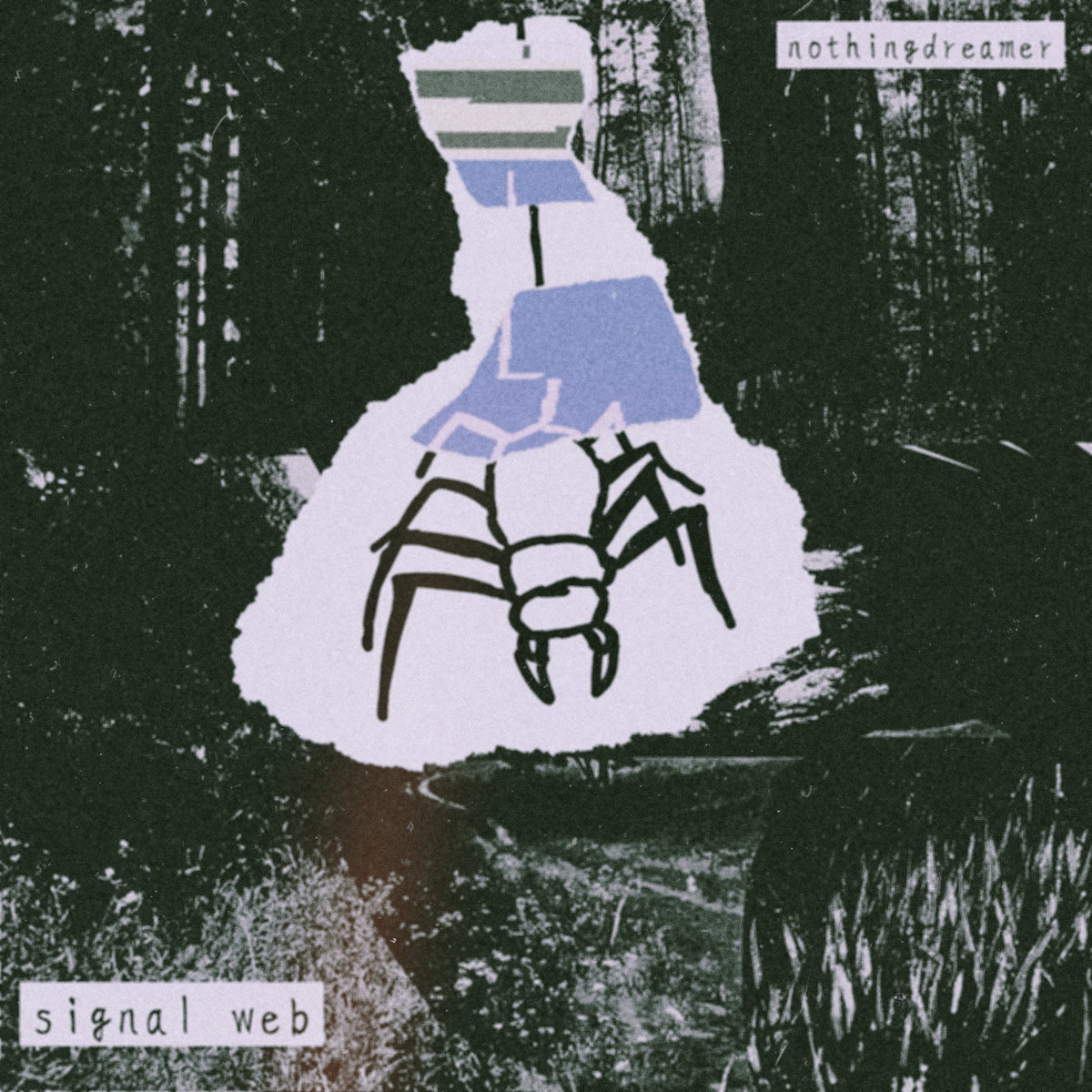 signal web | nothingdreamer