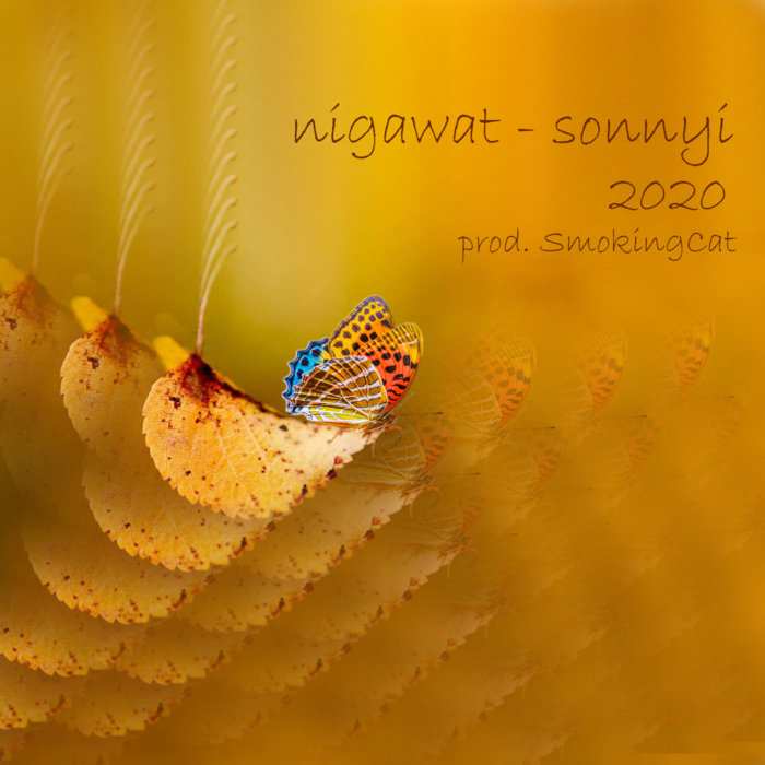 sonnyi | nigawat