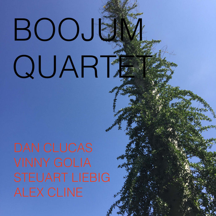 Boojum Quartet - Dan Clucas/Vinny Golia/Steuart Liebig/Alex Cline | Dan ...