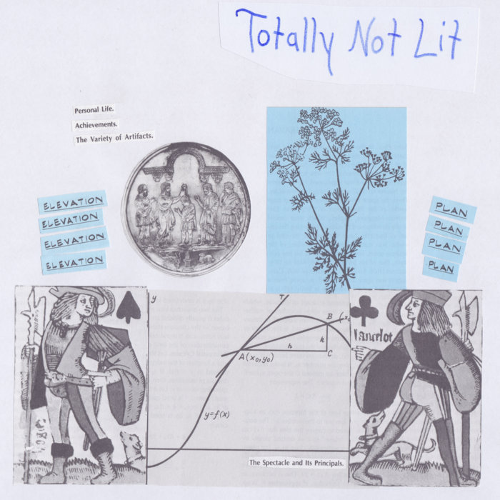 Totally Not Lit | Nick Shea