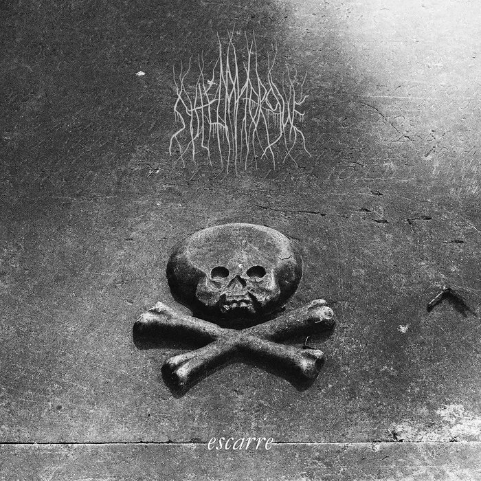 Escarre | System Morgue | Accasari