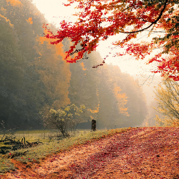 Autumn Wind | Evening Reflections | Aether Gaze