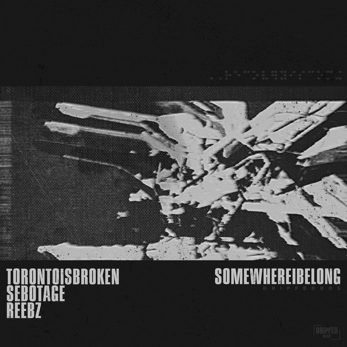 SOMEWHEREIBELONG [Single] | Toronto Is Broken, Sebotage & REEBZ ...