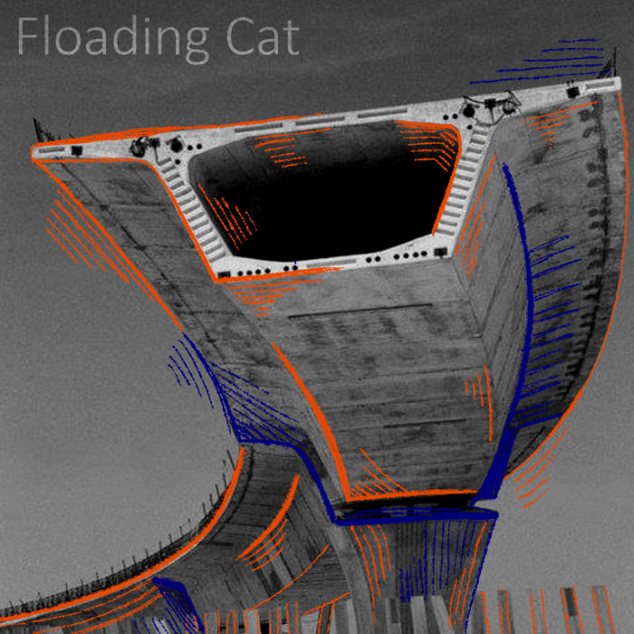 whatever | Floading cat