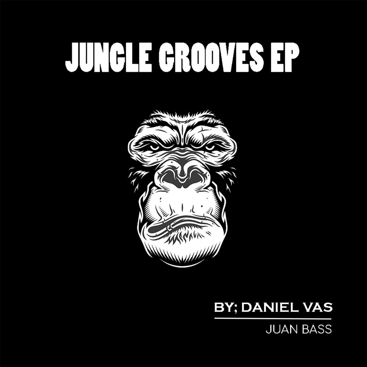 JUNGLE GROOVE | Daniel Vas