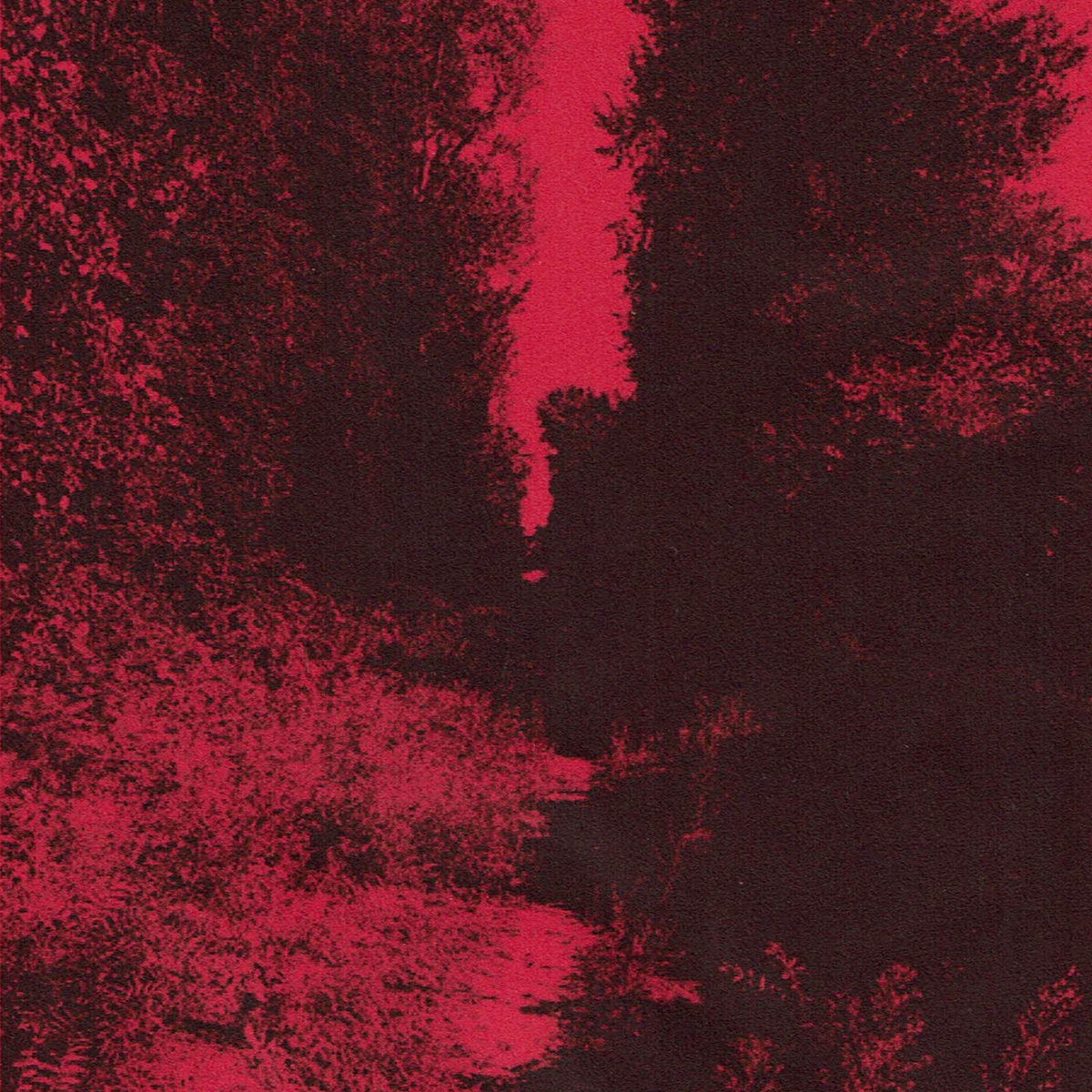 In the Mud, Covered in Flies | Black Age | Phantom Spire