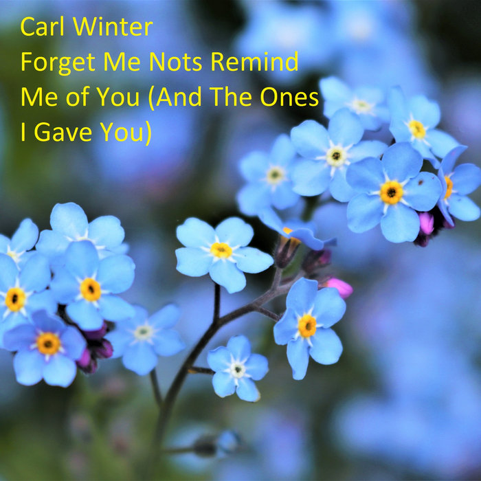 Forget Me Nots Remind Me of You (And the Ones I Gave You) | Carl Winter