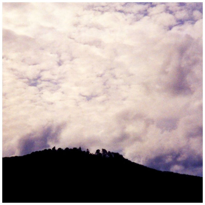 Songs for the first year | The Untanned Hide of a Young Cow