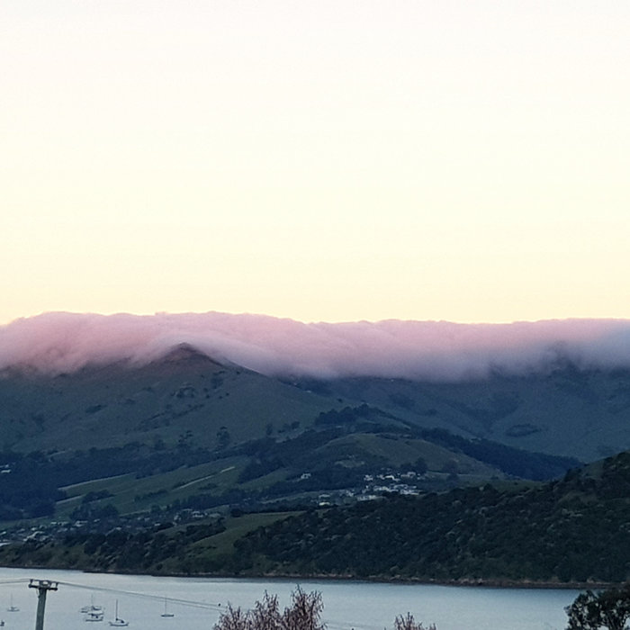 Dianella | Perth Ambient