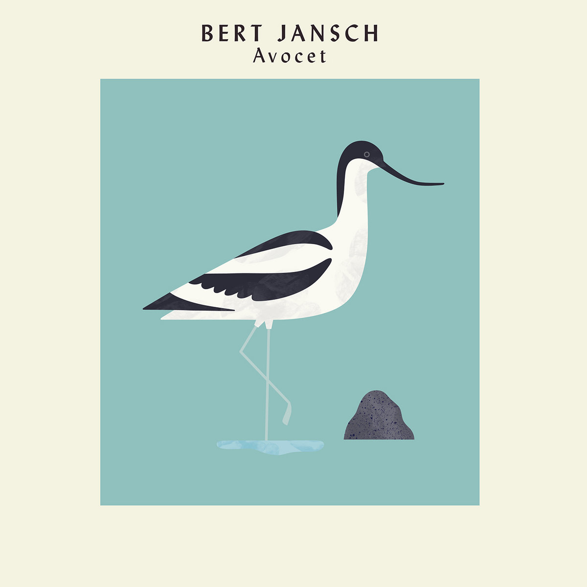 Avocet (40th Anniversary Edition) | Bert Jansch