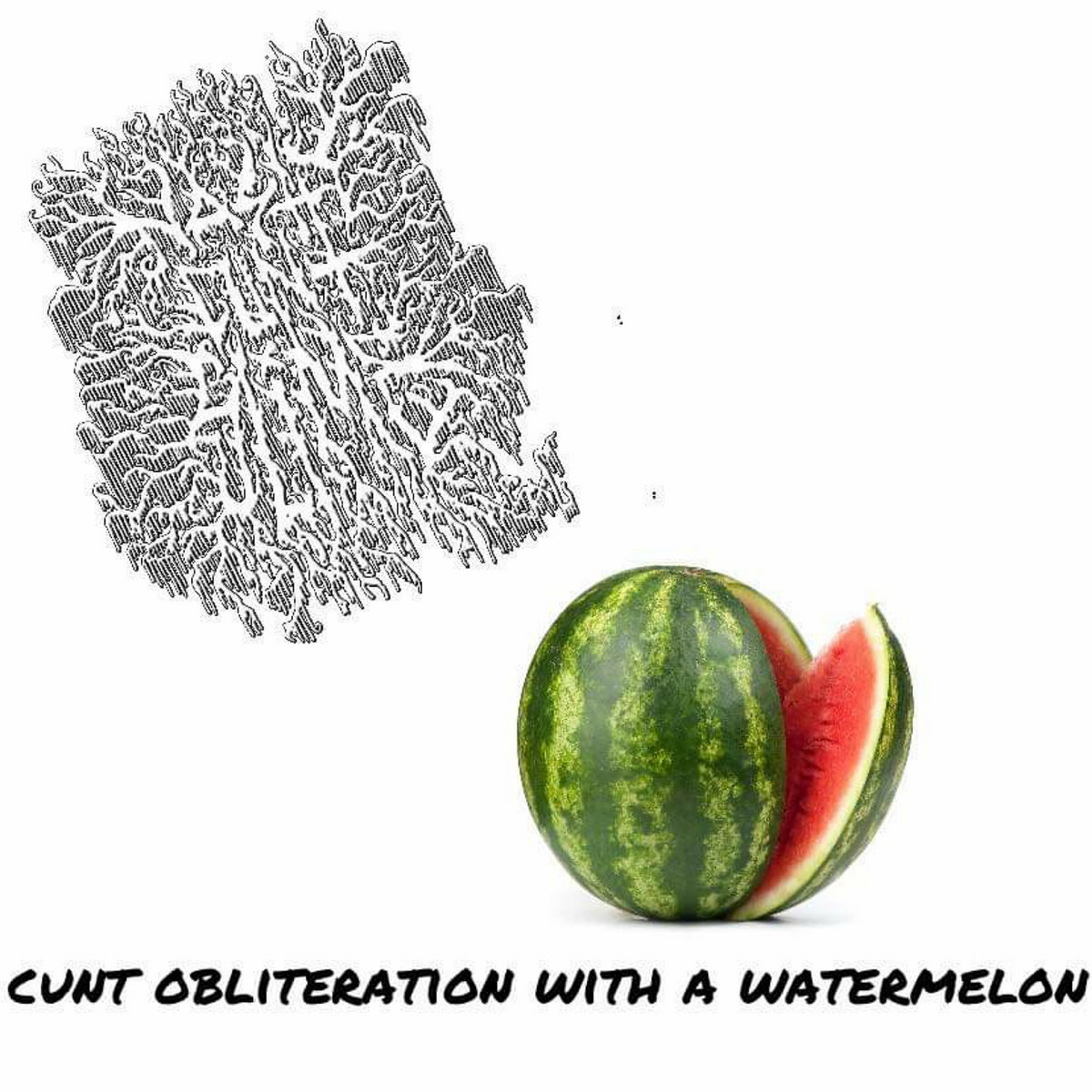 Cunt Obliterated With A Watermelon | NASTY CUNT SLIME