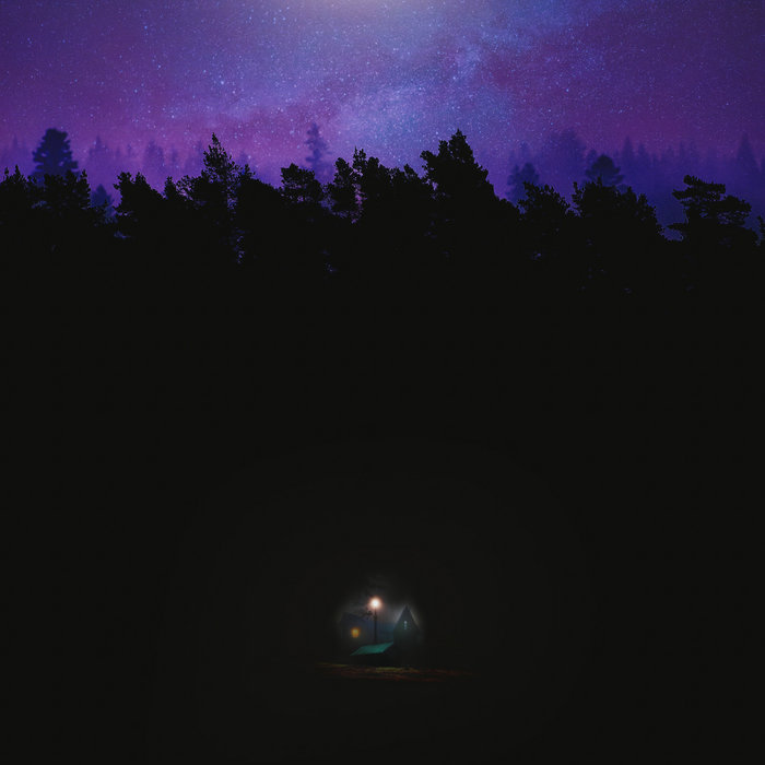 Flank | Secret Diary of a Sad Orchestra