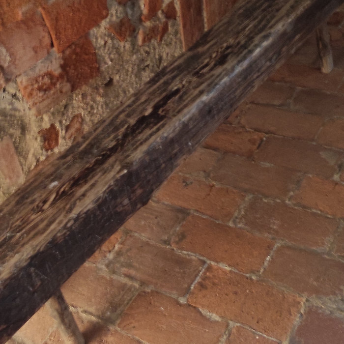 IN THE BACK | Marek Mucha | EDGE Mucha