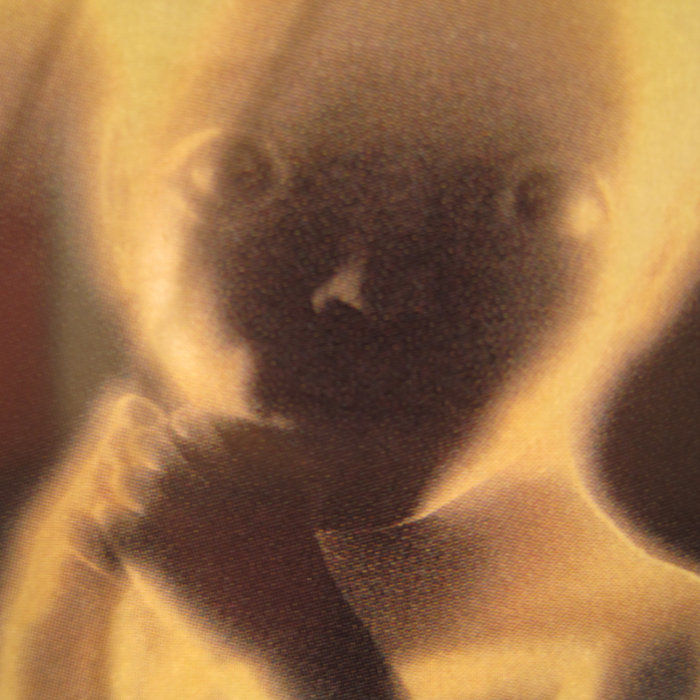 de nuit | fleck E.S.C