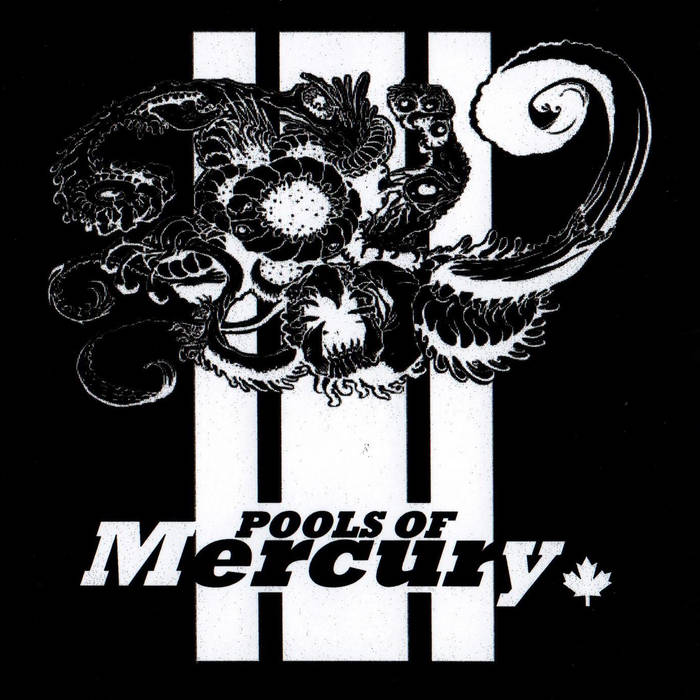 POOLS OF MERCURY | Pools of Mercury