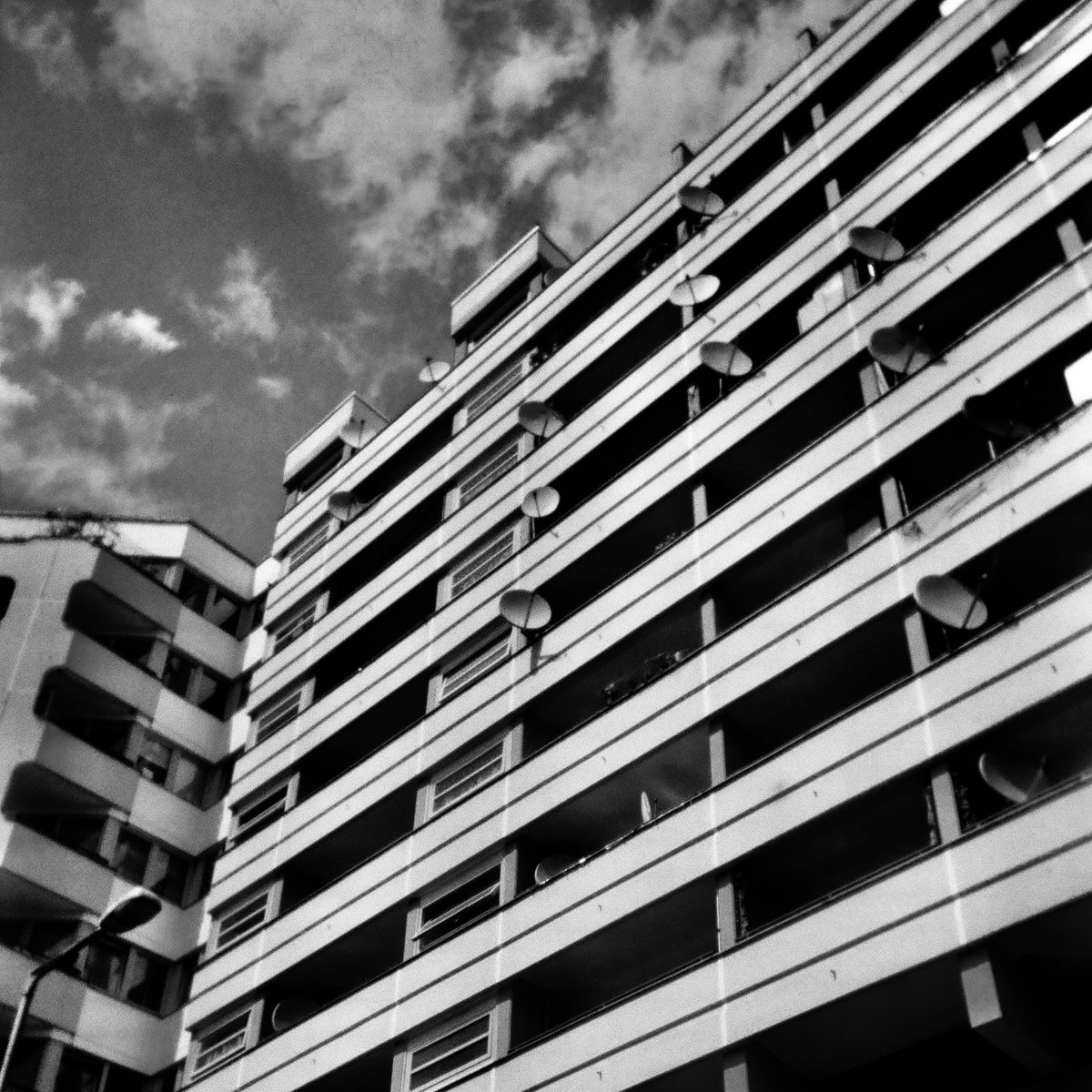 Reaction Formation | Alex Purser