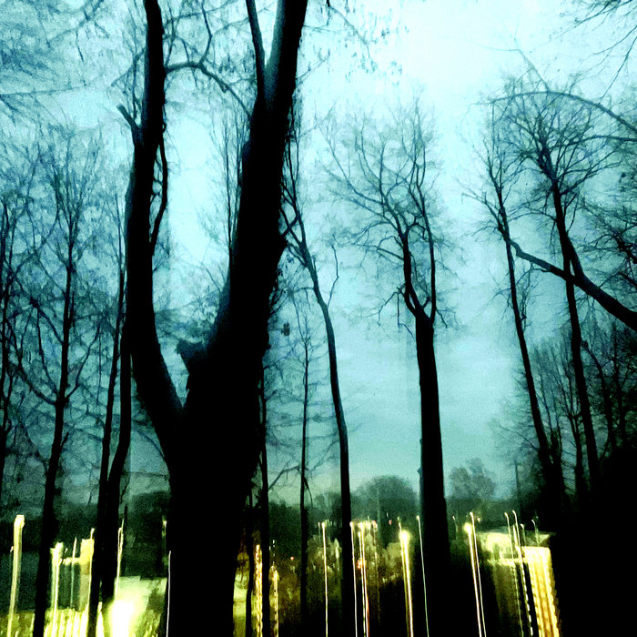 the linear light | goatsy | nezuai