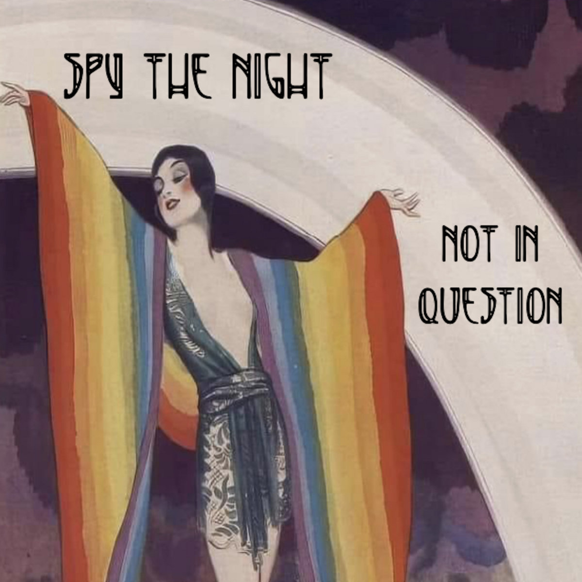 Not in Question | Spy the Night