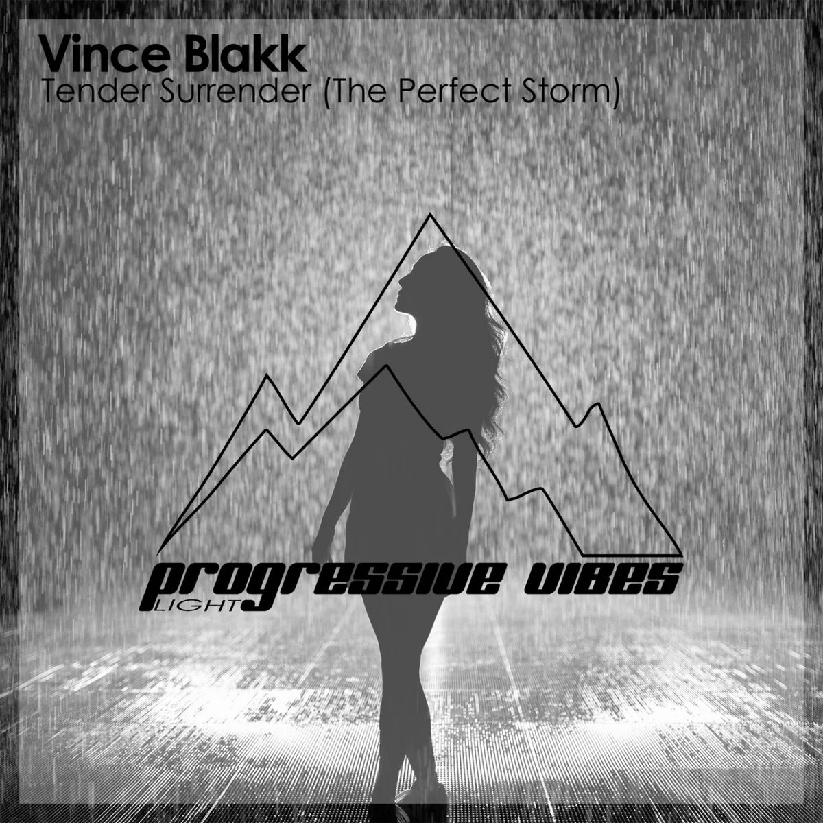 Tender Surrender (The Perfect Storm) | Vince Blakk
