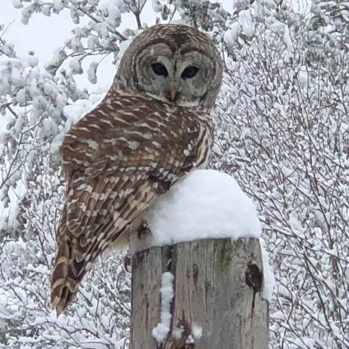 emerther I | EMERTHER