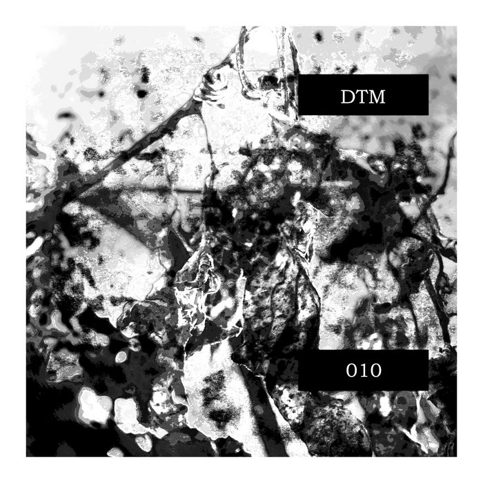 010 | DTM