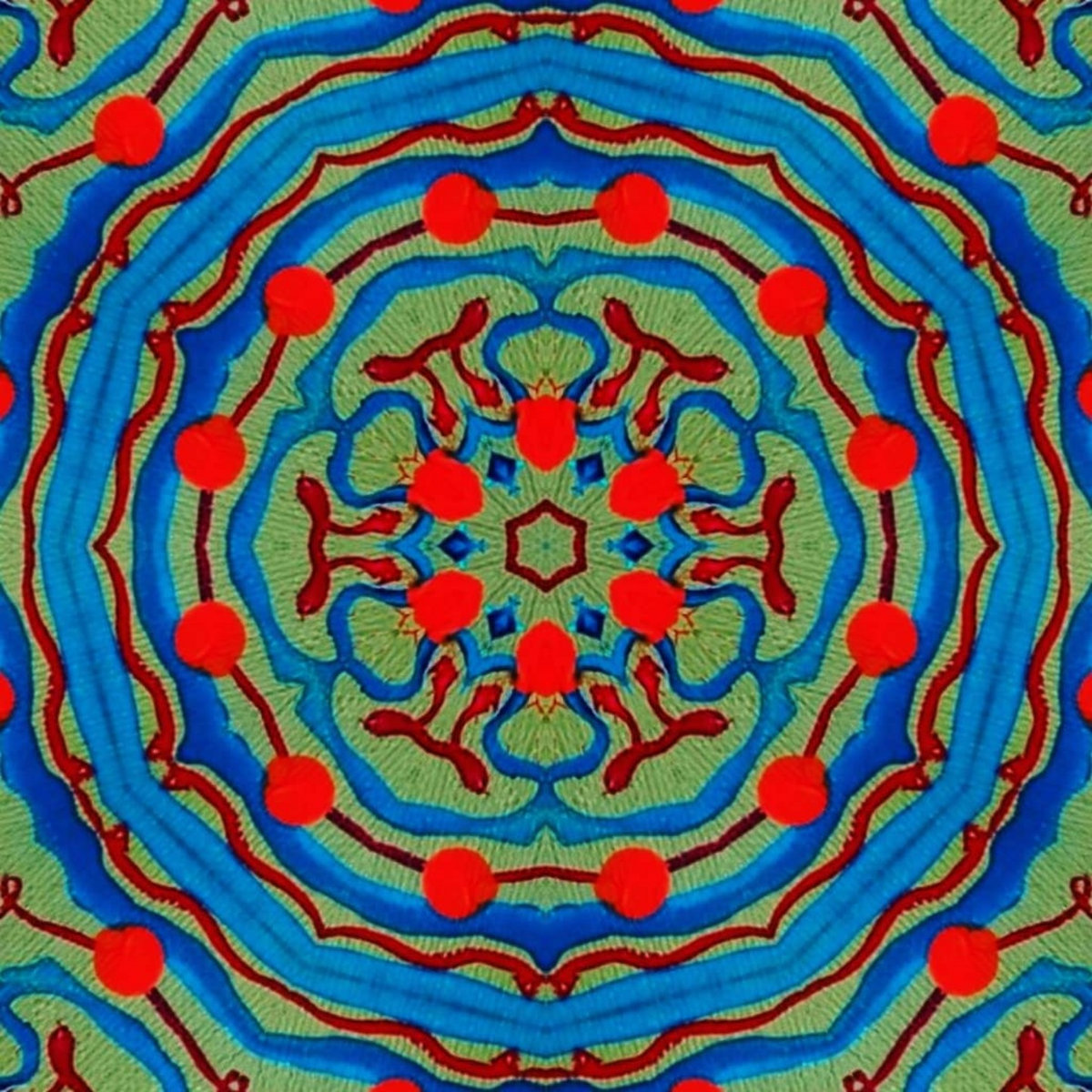 sorcova vesela | Suzana Lașcu