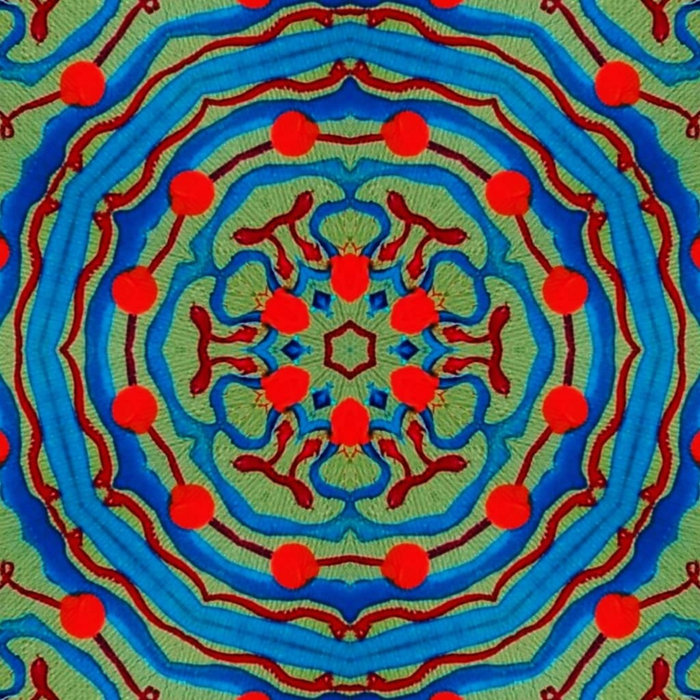 sorcova vesela | Suzana Lașcu