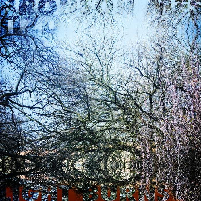 Light Burns | Bronson Mestizo