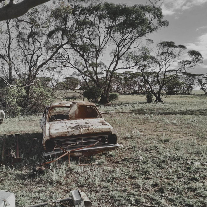 Wild Flower Country | Daniel J Danson