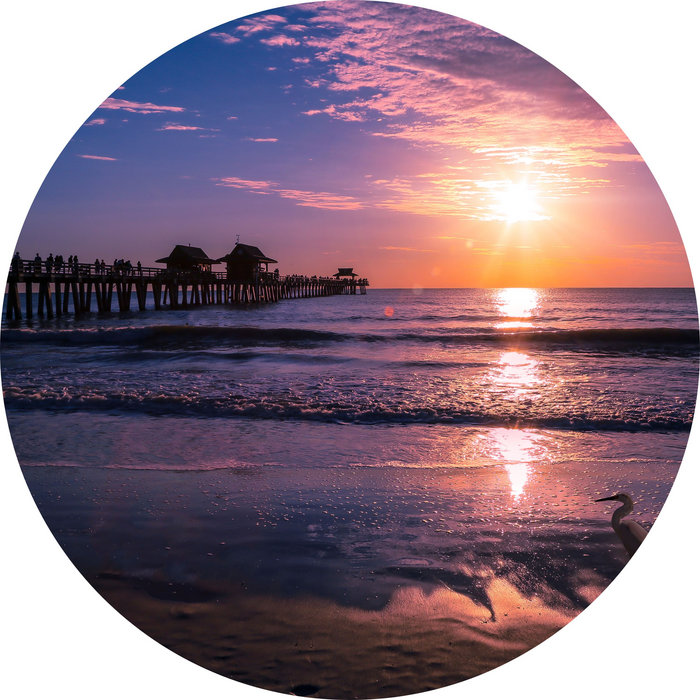 Pretty Good Life | Roberto Pedoto