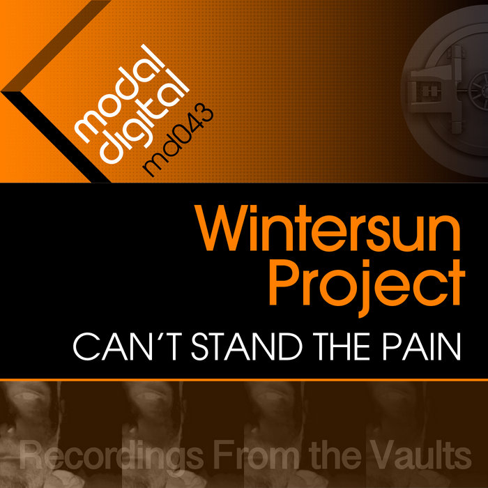 Can't Stand The Pain (Original 12") | Wintersun Project