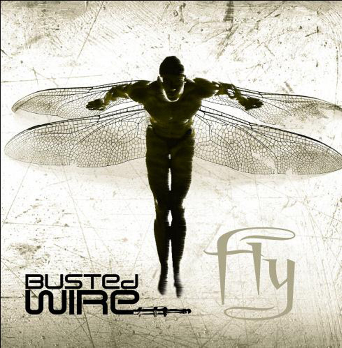 Fly | Busted Wire