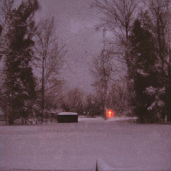 beautiful genius caretaker | mieke