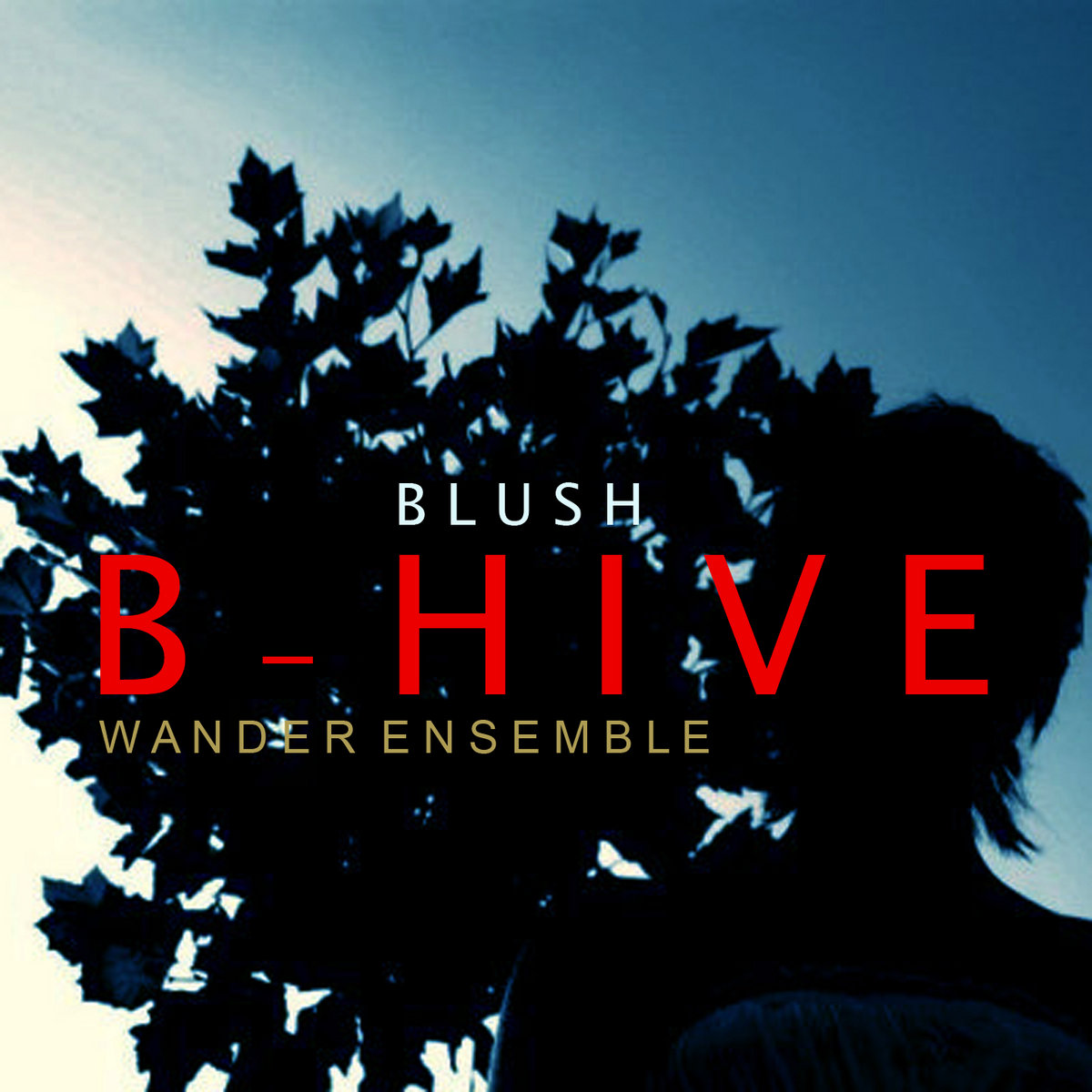 Blush | Wander Ensemble