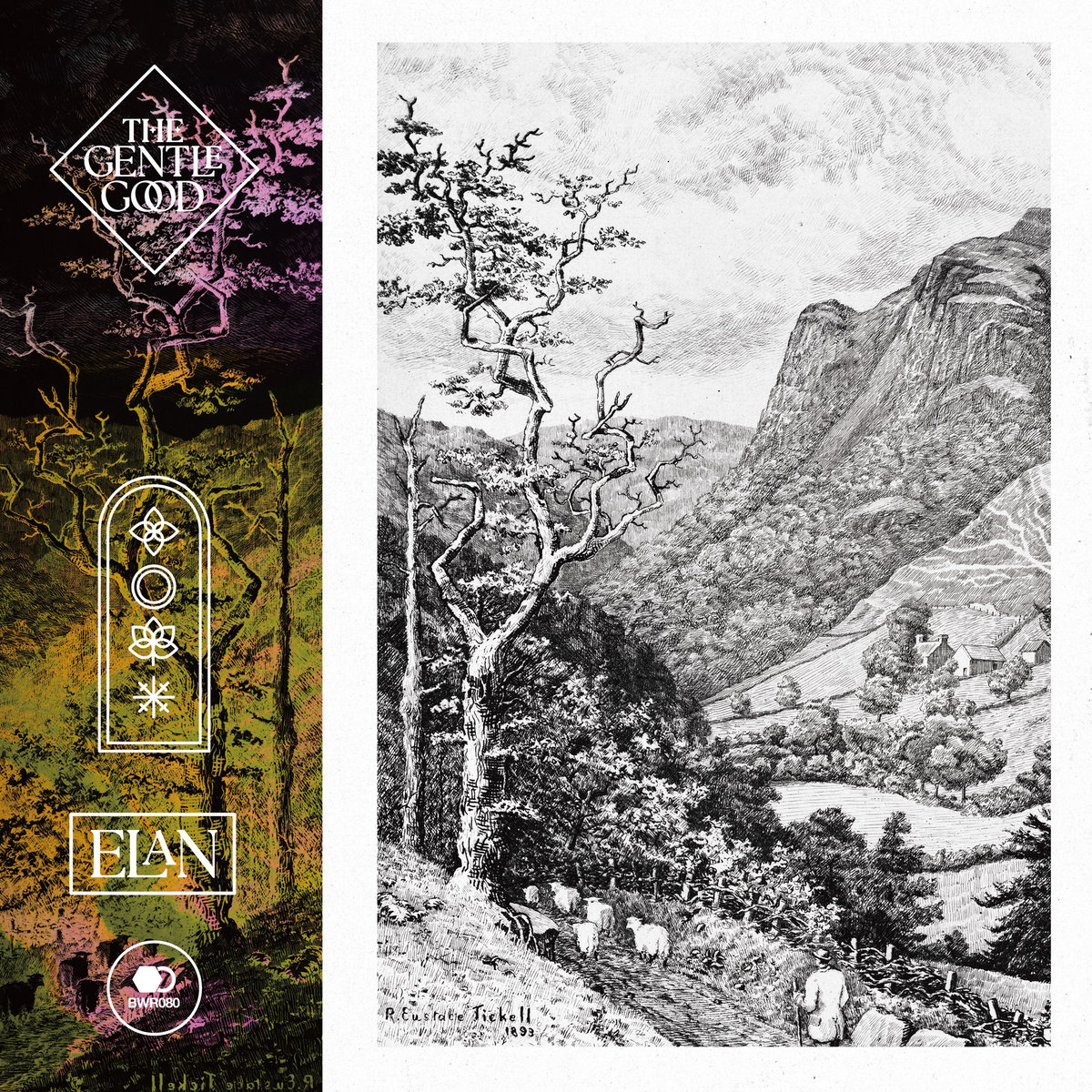 Elan | The Gentle Good