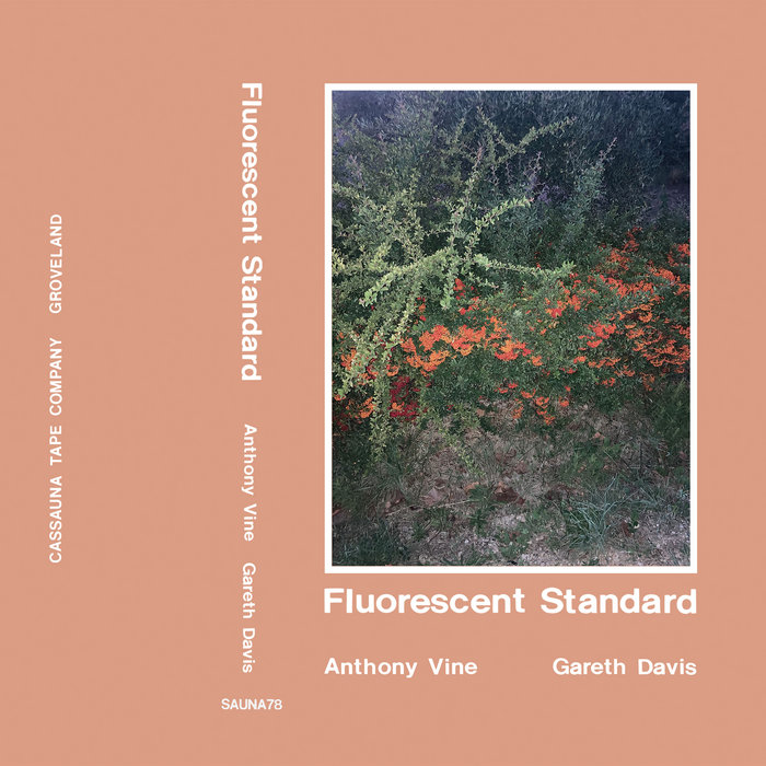 Fluorescent Standard | Anthony Vine & Gareth Davis | cassauna