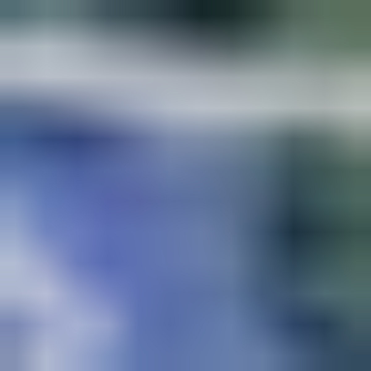 THE BASSIST | seb moore | So Bros