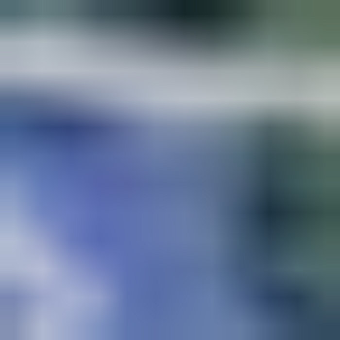 THE BASSIST | seb moore | So Bros