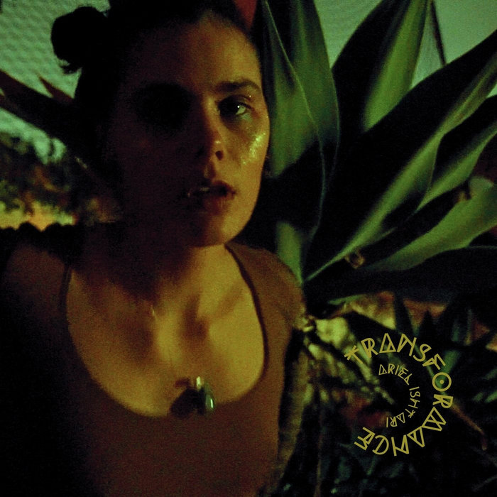 Transformance | Ariel Foster