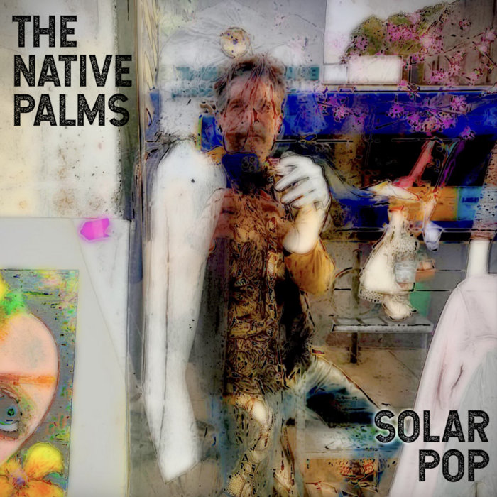 Solar Pop | The Native Palms