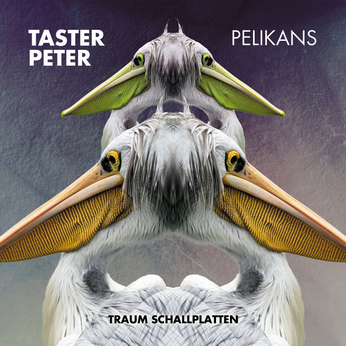 Pelikans | Traum Schallplatten