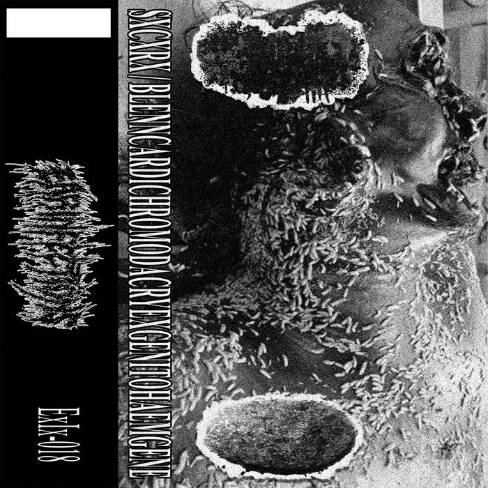 Split | Stercoraceous Copremesis Rhinorrhea ...