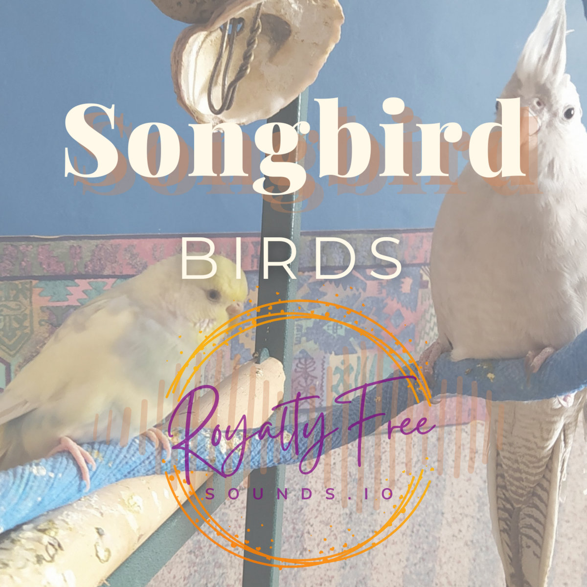 Birds - Songbirds | Royalty Free Sounds