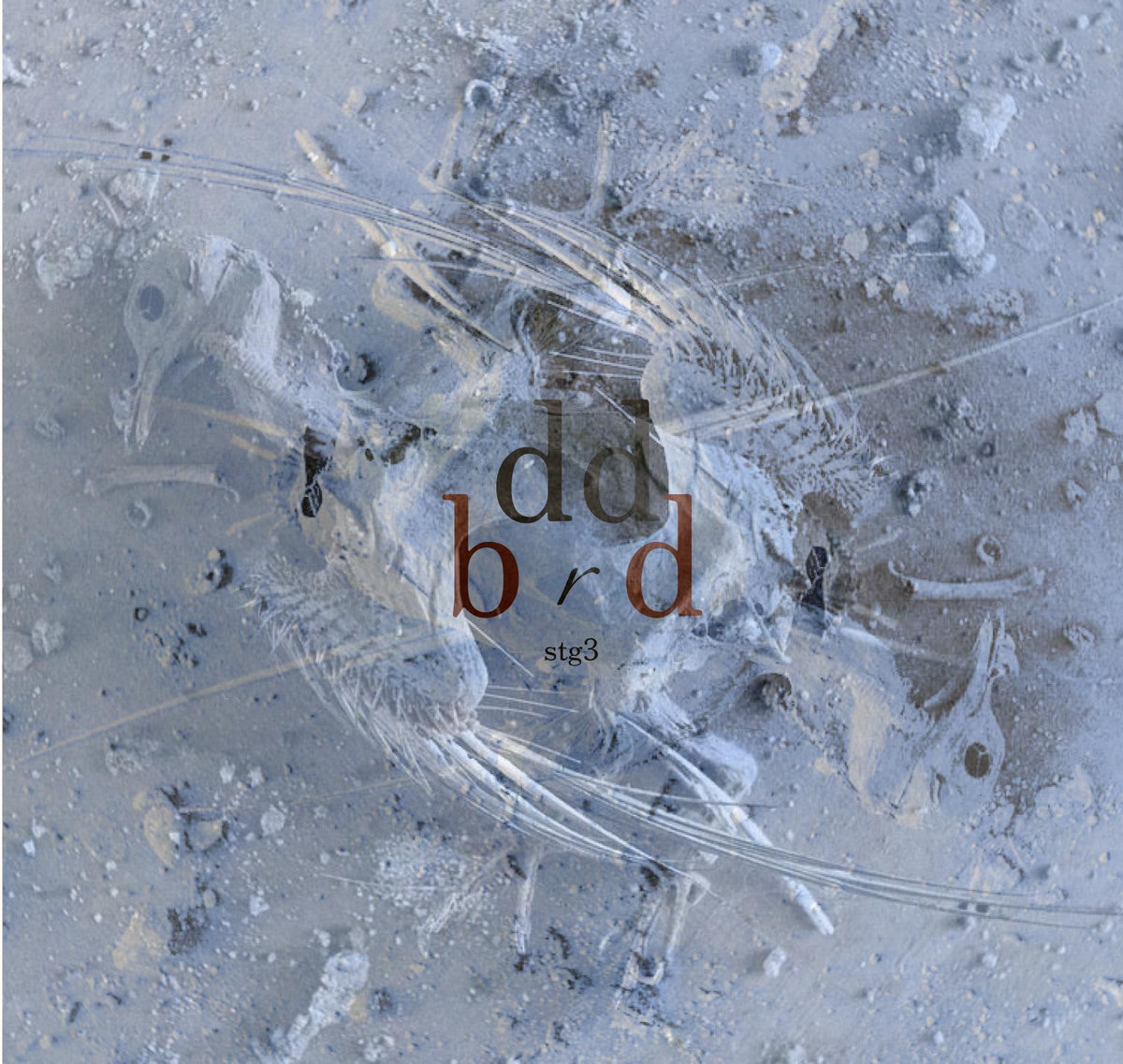 stg3 | dd brd