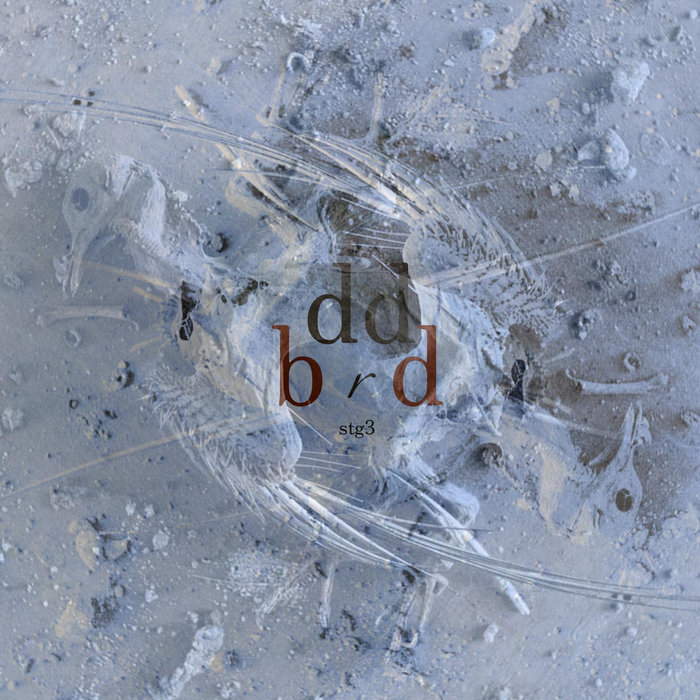 stg3 | dd brd