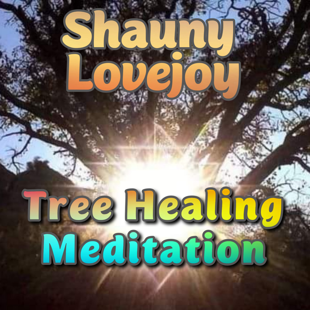 Tree Healing Meditation | Shauny Lovejoy Meditation
