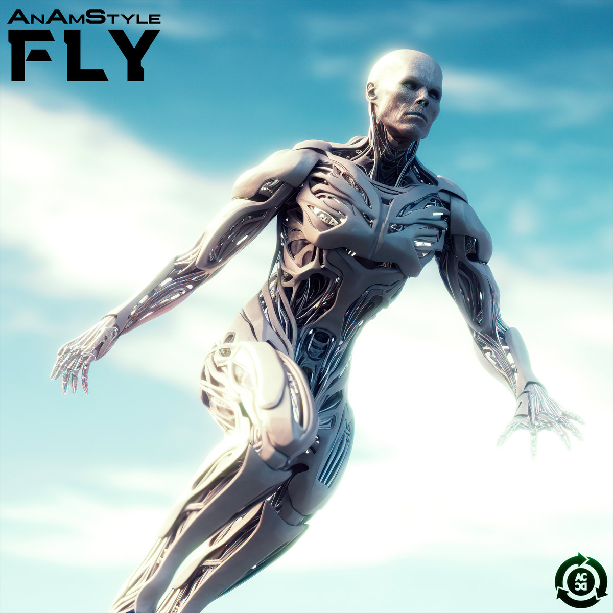 Fly | AnAmStyle (ACDC Records) | Acdc Records