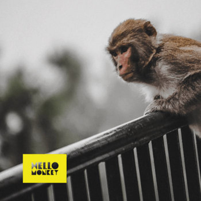 Stark Limbo | Hello Monkey !!! | Hello Monkey!!